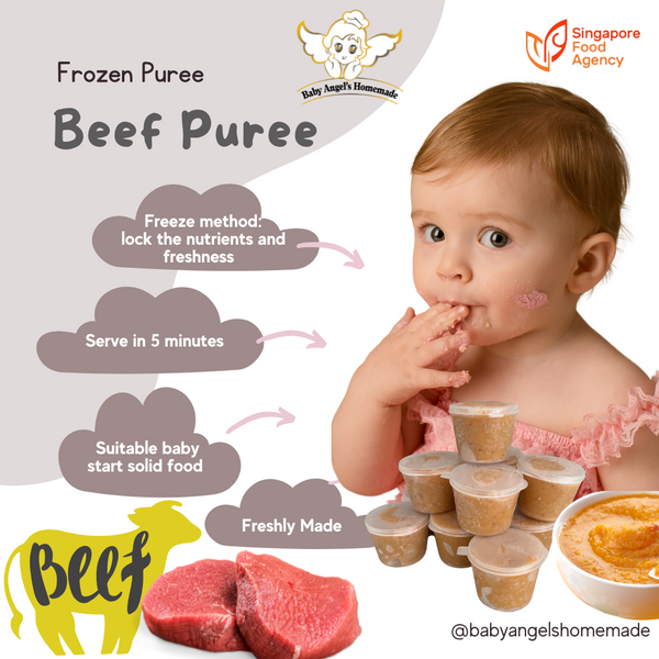 Beef Puree – Baby Angel's Homemade