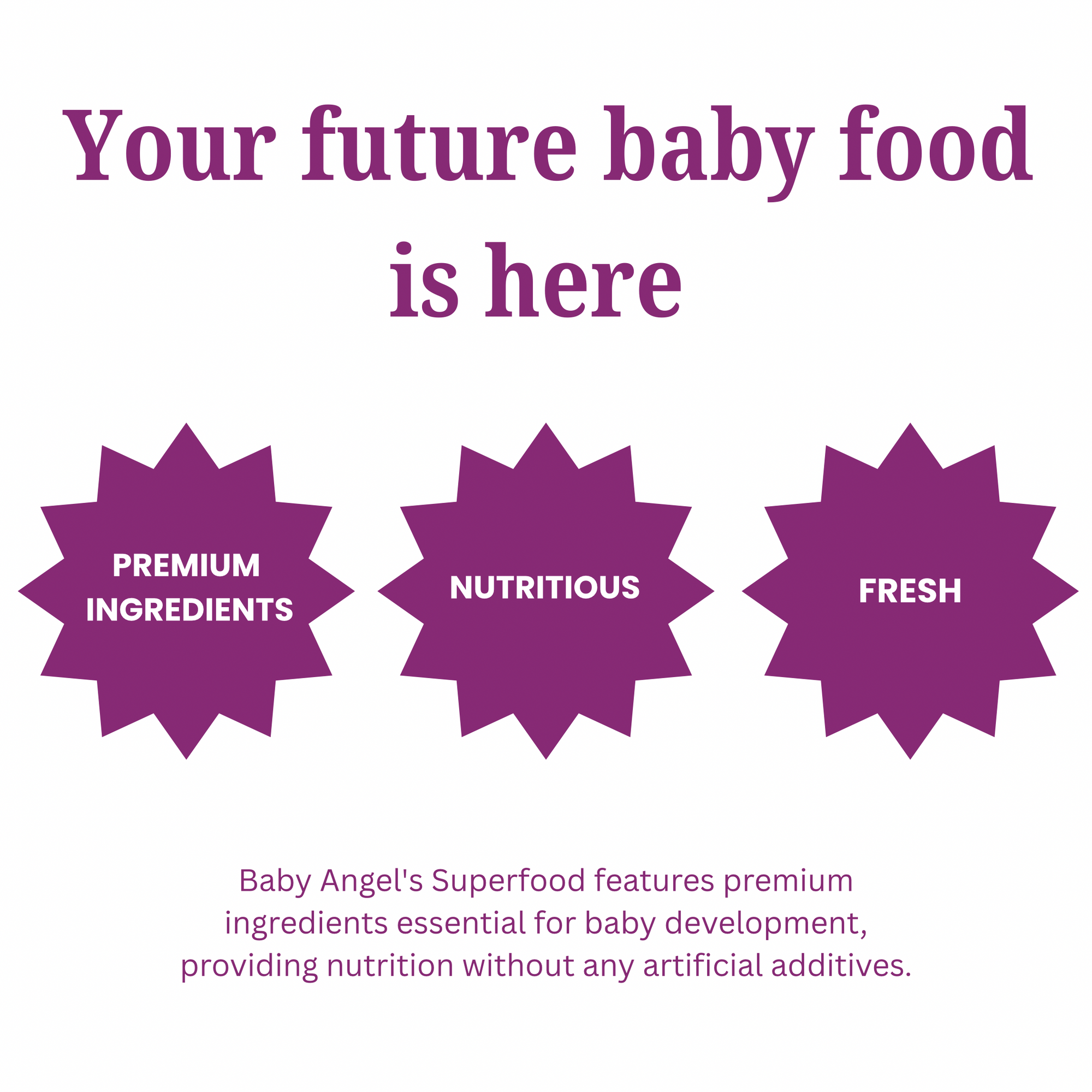 Healthy Baby Food – Baby Angel's Homemade